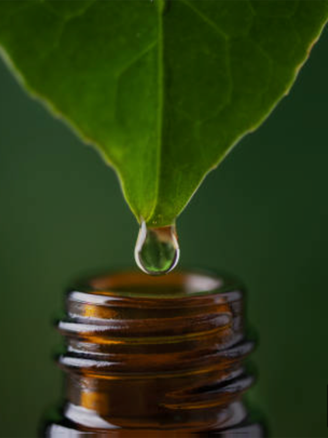 Homeopathic medicine: Like cures like | Michigan Today